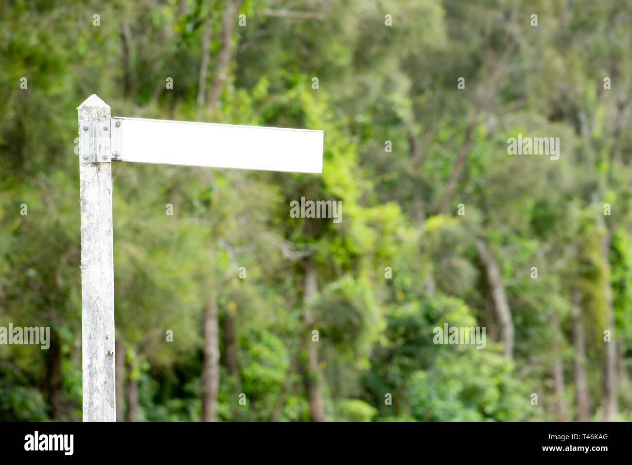 Blank street name sign hi-res stock photography and images - Alamy