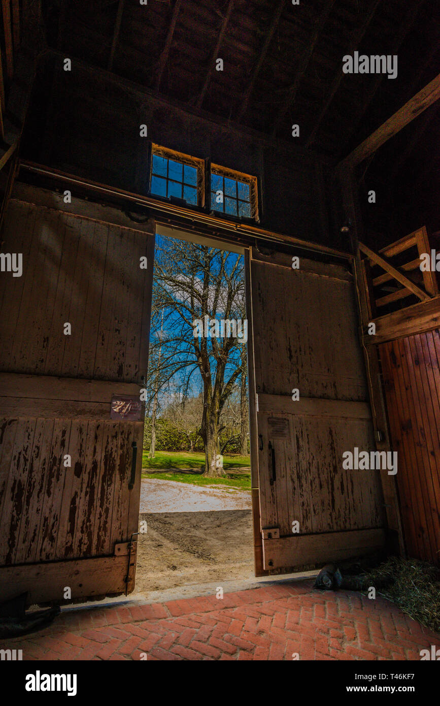 Horse looking out barn door hi-res stock photography and images - Alamy