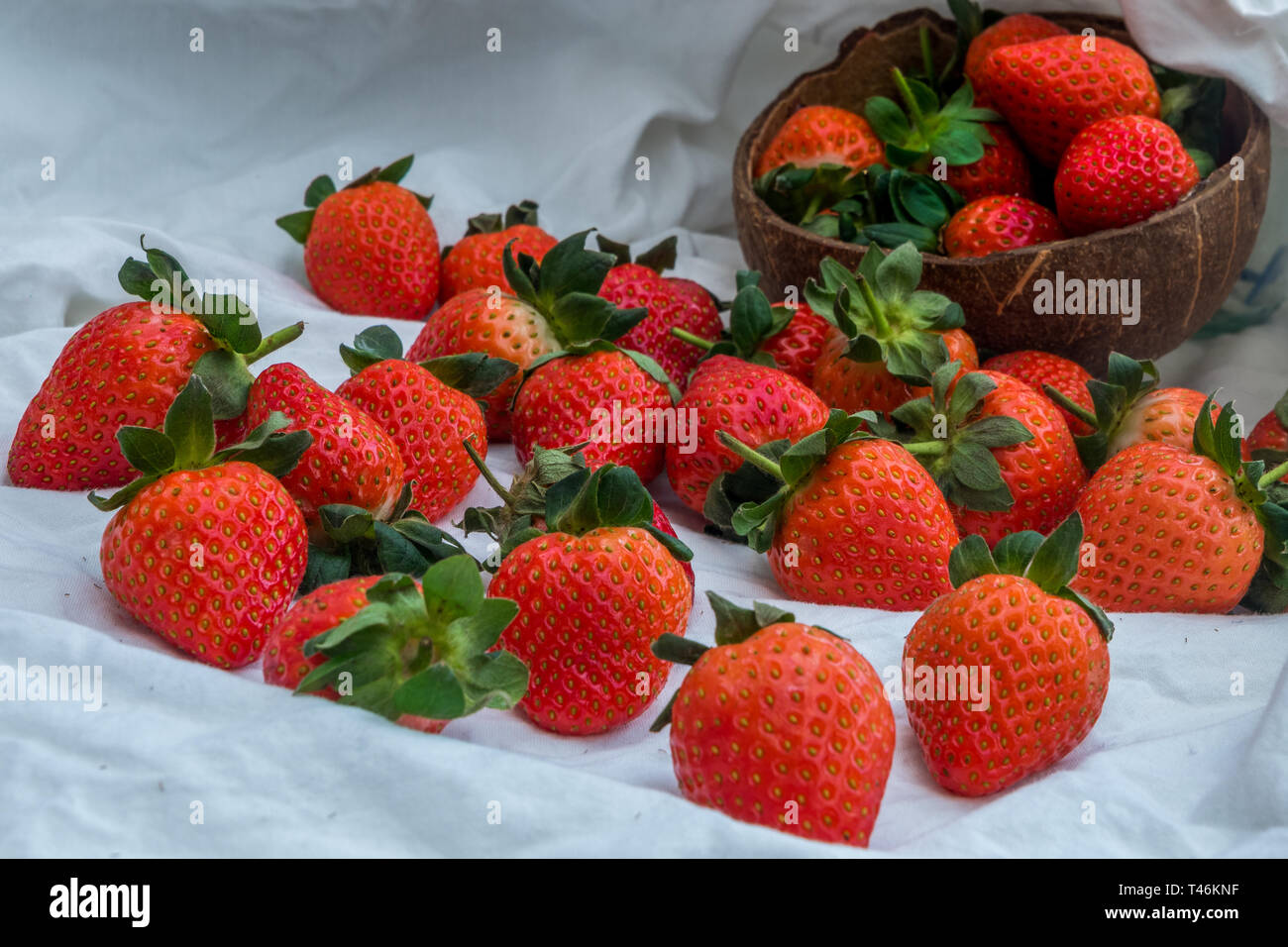 Fresh strawberries in a coconut shell on white background Stock Photo ...