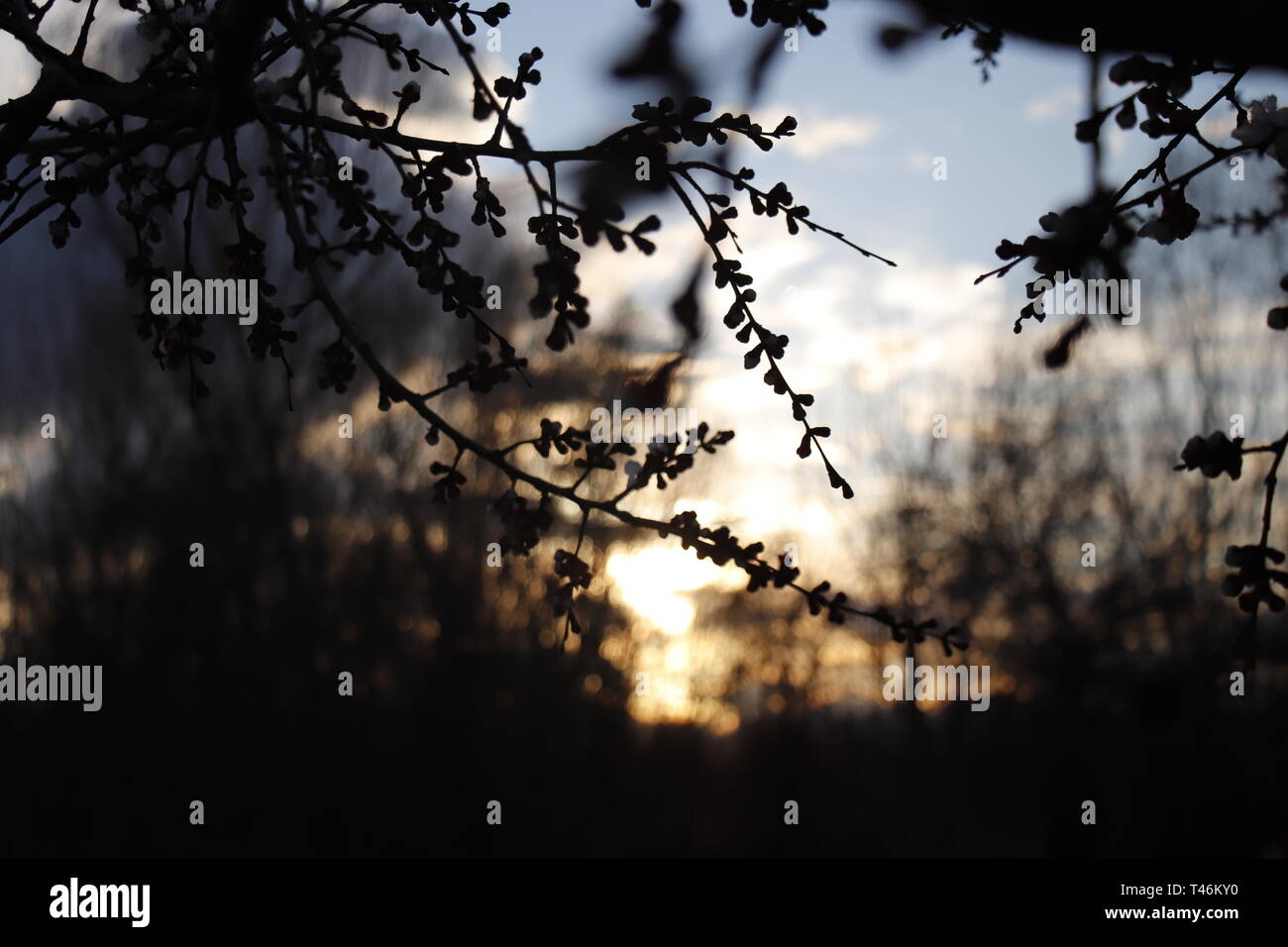 Spring seen hi-res stock photography and images - Alamy