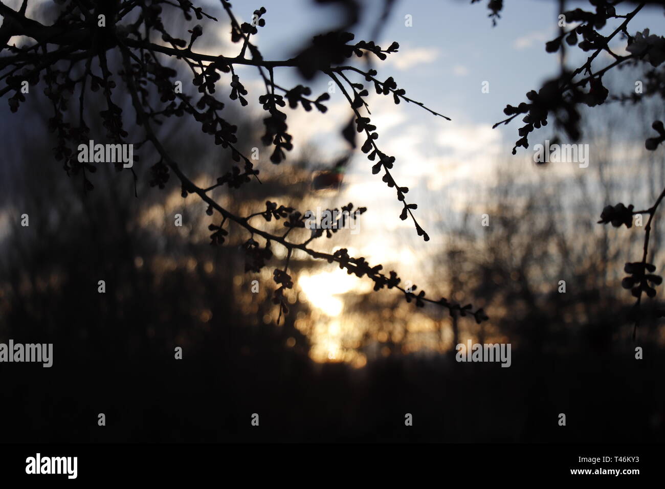 Spring seen hi-res stock photography and images - Alamy