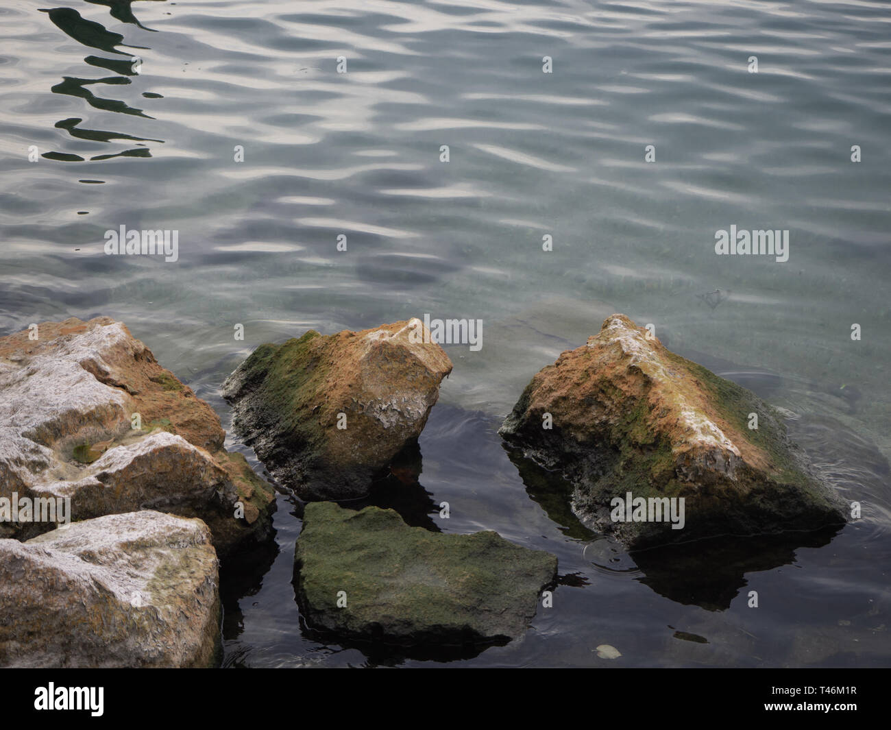 Rocks with moss in the water near the shore Stock Photo - Alamy