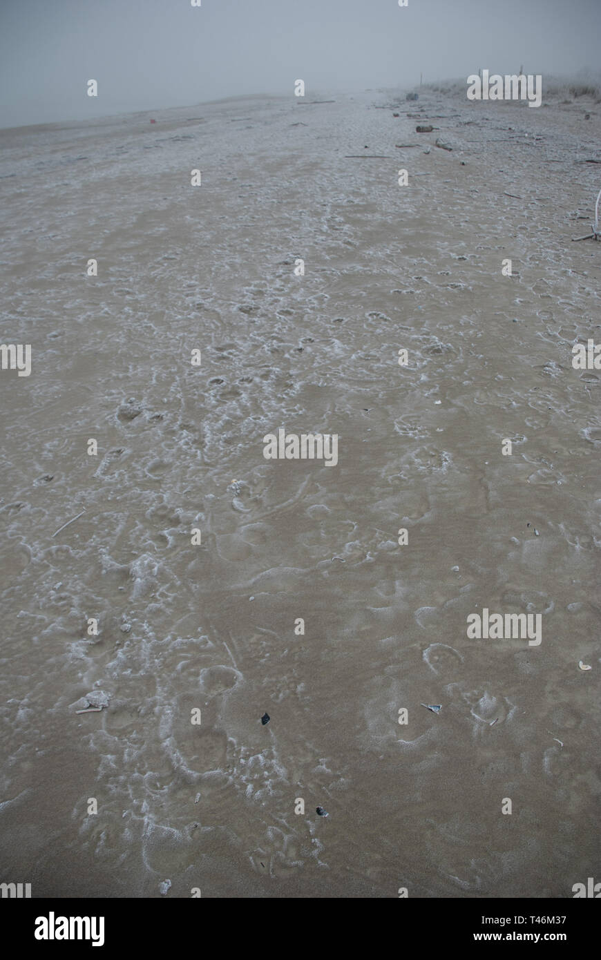 Icy sand in winter beach Stock Photo - Alamy