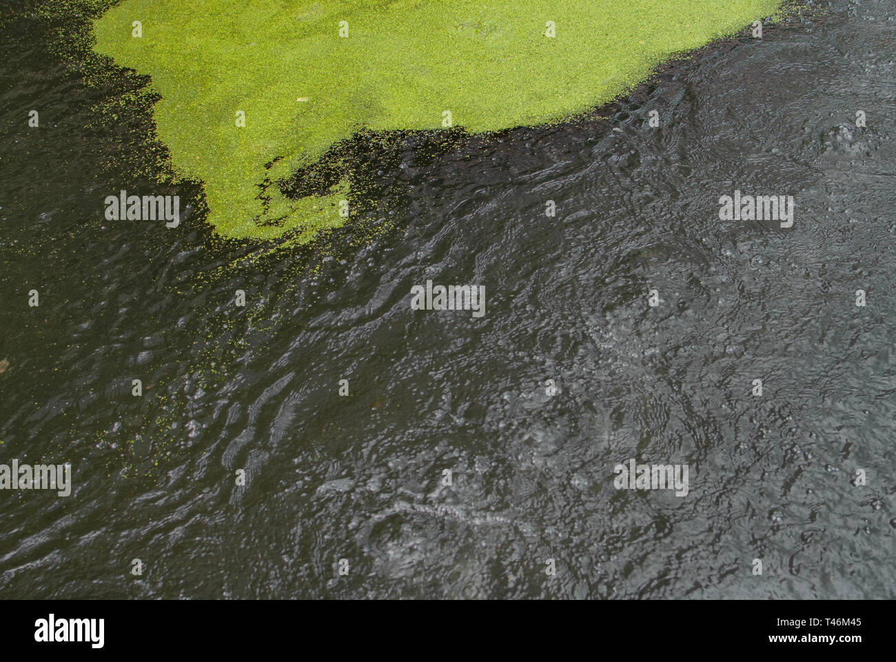 Surface runoff pollution hi-res stock photography and images - Alamy