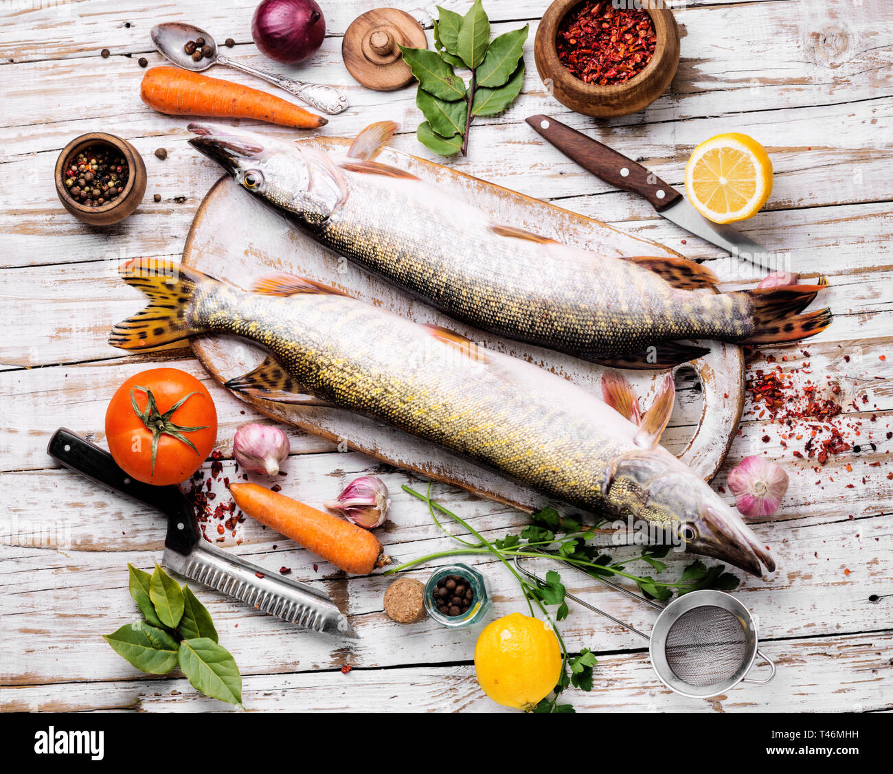 Fresh fish with ingredients for cooking.Raw fish with herbs, spices and ...