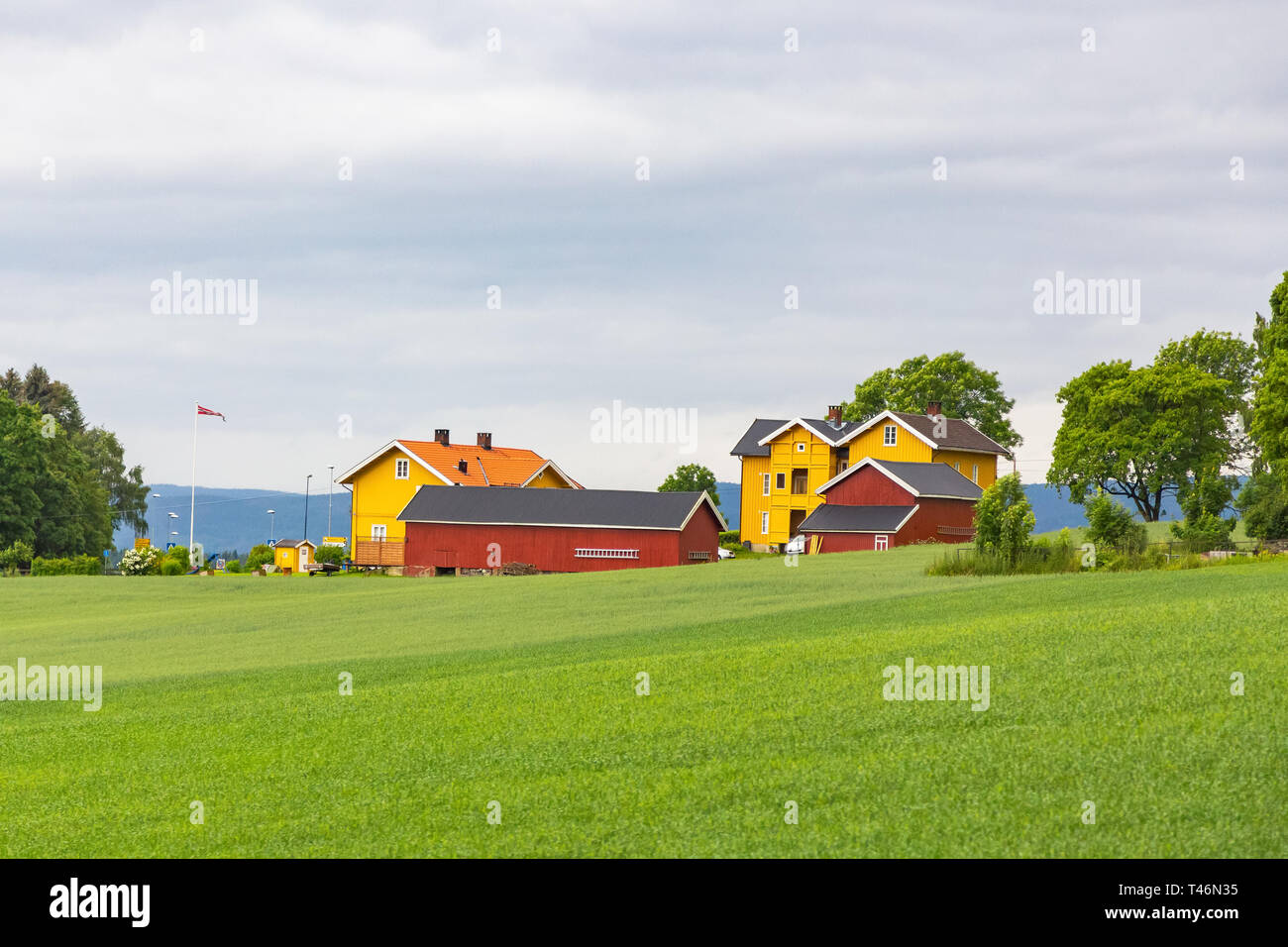 Traditional colored wooden house in Norway at summer day. Country ...