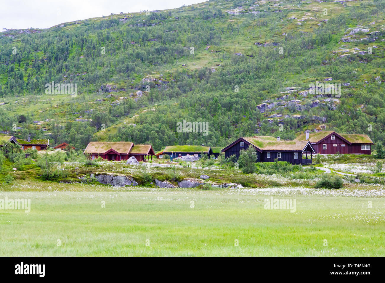 Norwegian country house. Scenic summer view of cottage houses in ...