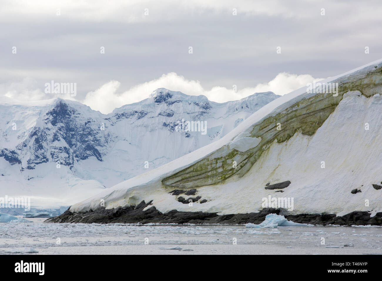Green iceberg algae hi-res stock photography and images - Alamy