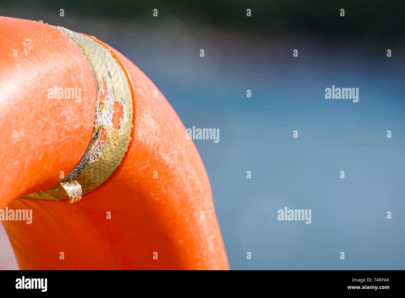 orange life buoy in the pool. orange lifebuoy on a background of water ...