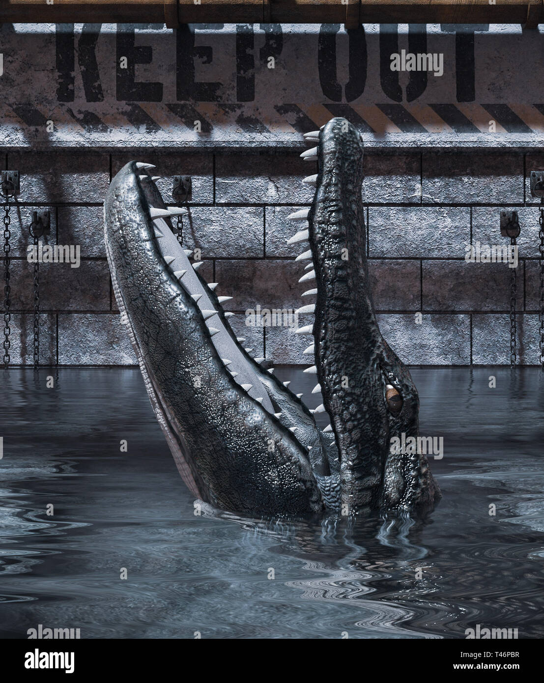 Alligator tank hi-res stock photography and images - Alamy