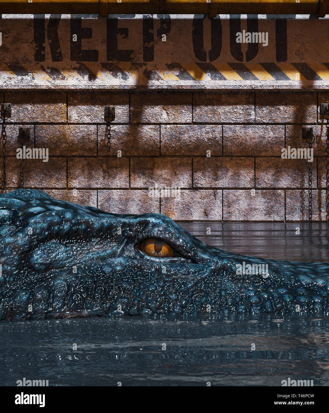 Alligator tank hi-res stock photography and images - Alamy