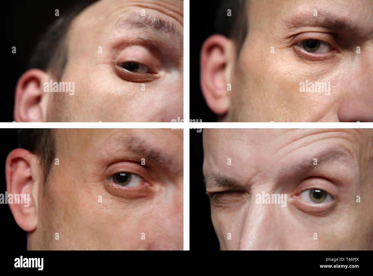 Four eye hi-res stock photography and images - Alamy