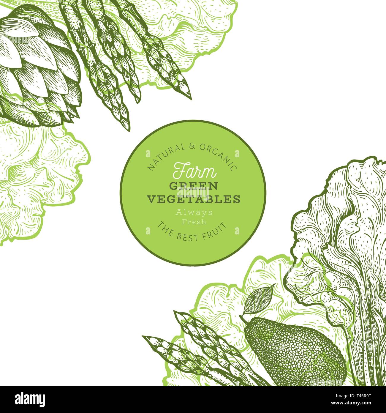 Green vegetables design template. Hand drawn vector food illustration ...