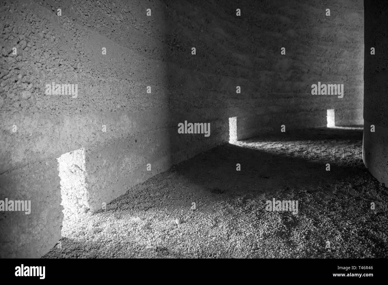 Writ in Water bu Mark Wallinger & Studio Octopi - Runnymede by the ...