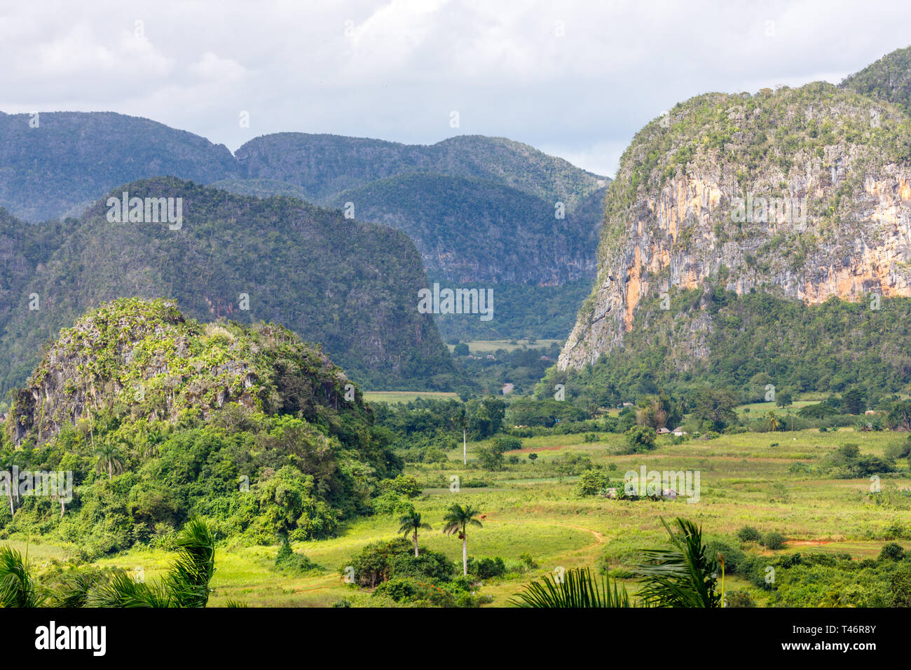 Cuban environment hi-res stock photography and images - Alamy