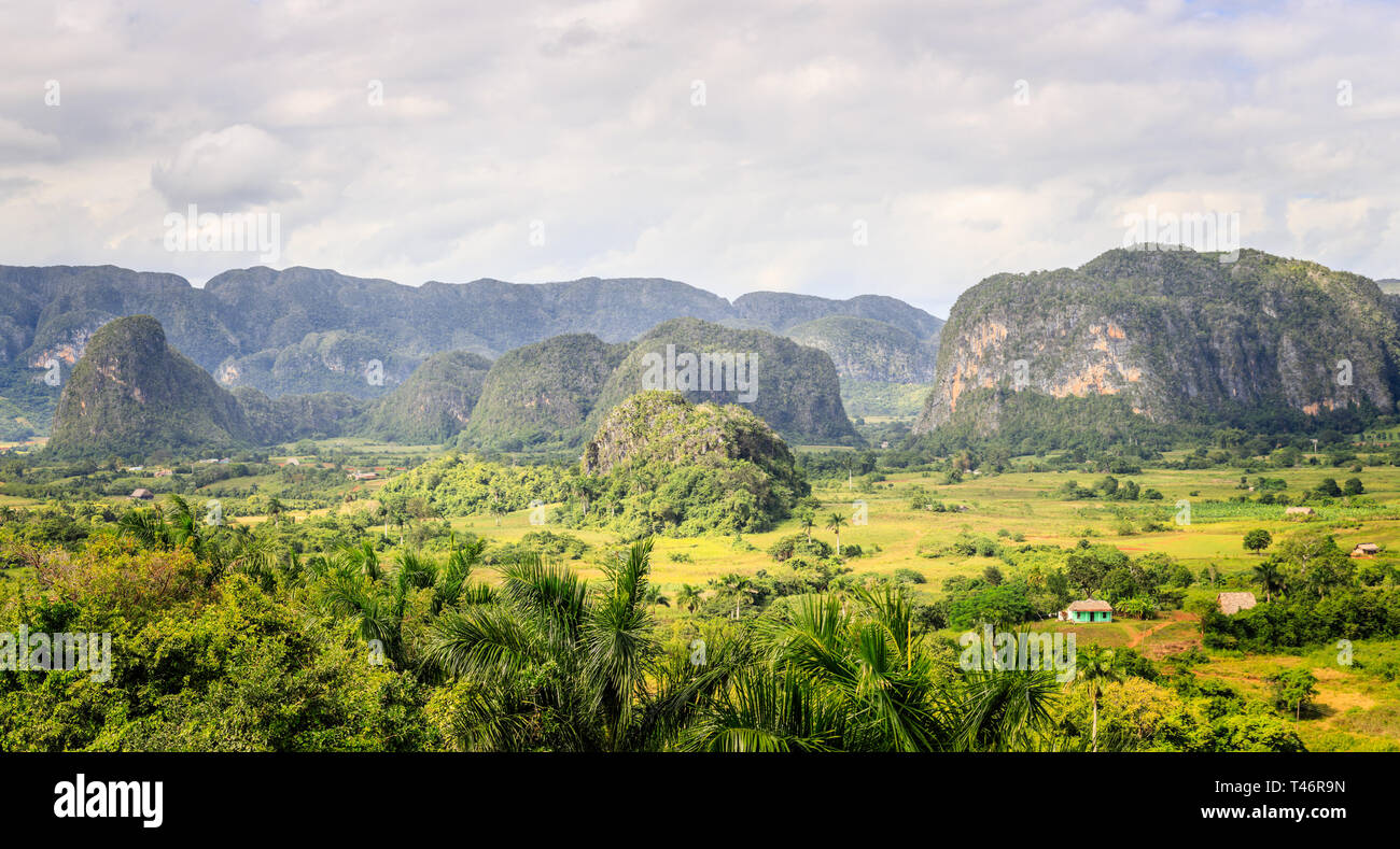 Green caribbean valley with small cuban houses and mogotes hills ...