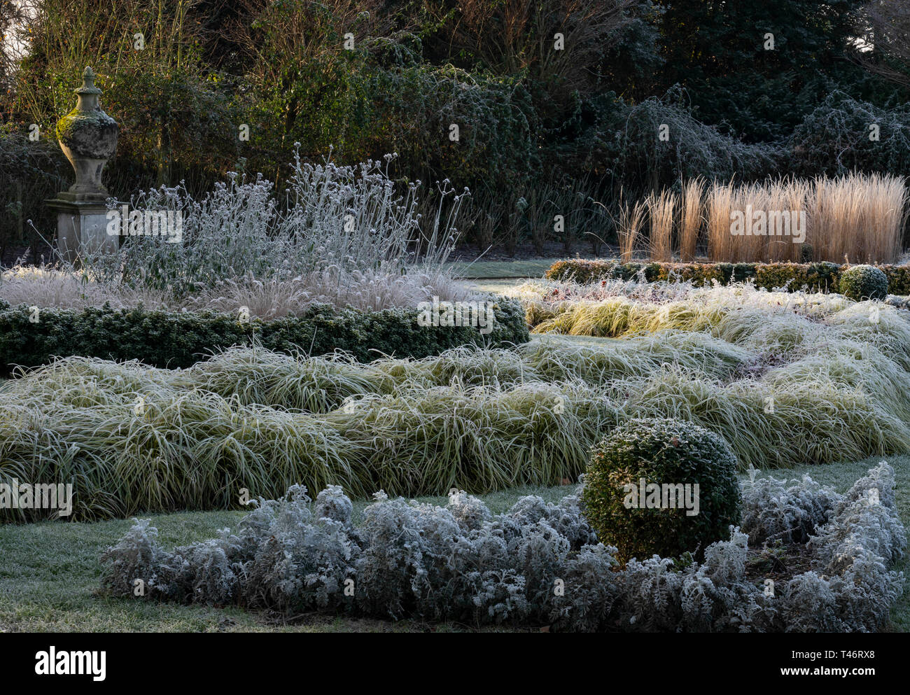 Frosted plants in the Italian Garden at Chiswick House, Chiswick ...