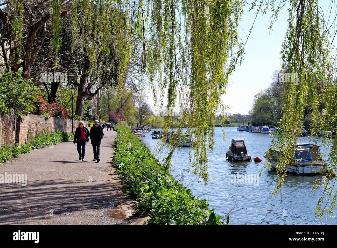Richmond riverside spring hi-res stock photography and images - Alamy