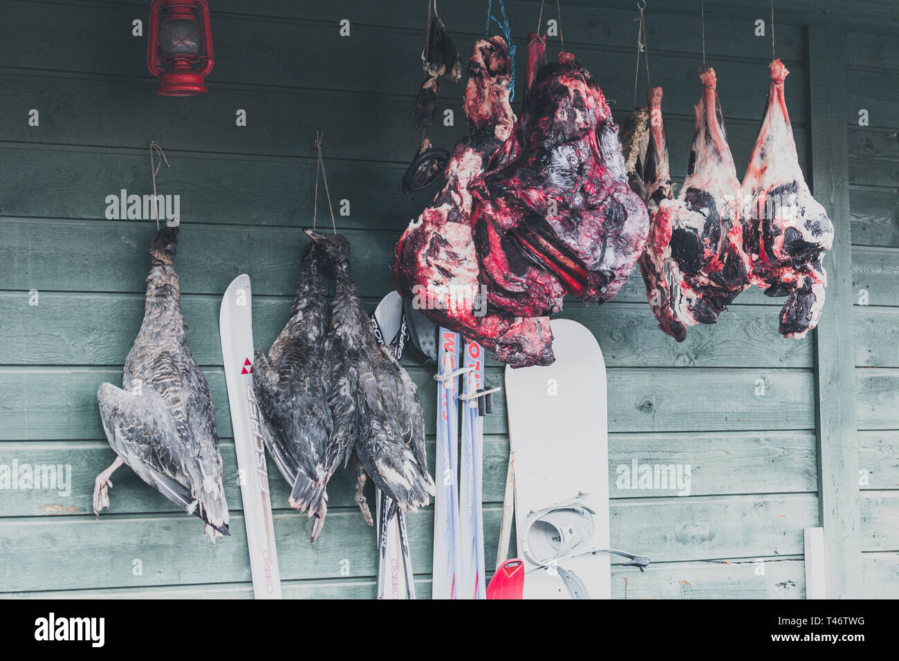 Meat hanging in butchery hi-res stock photography and images - Alamy