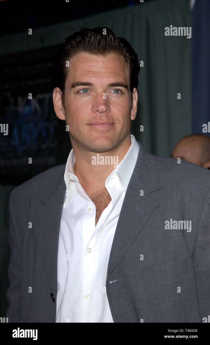 LOS ANGELES, CA. March 31, 2003: Actor MICHAEL WEATHERLY at the world ...