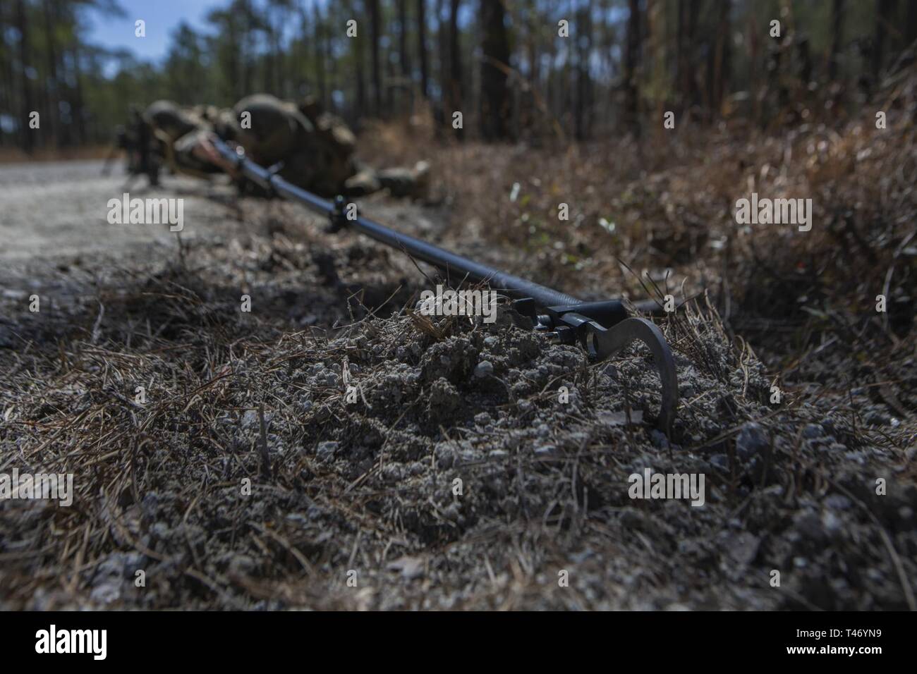 Holley stick hi-res stock photography and images - Alamy