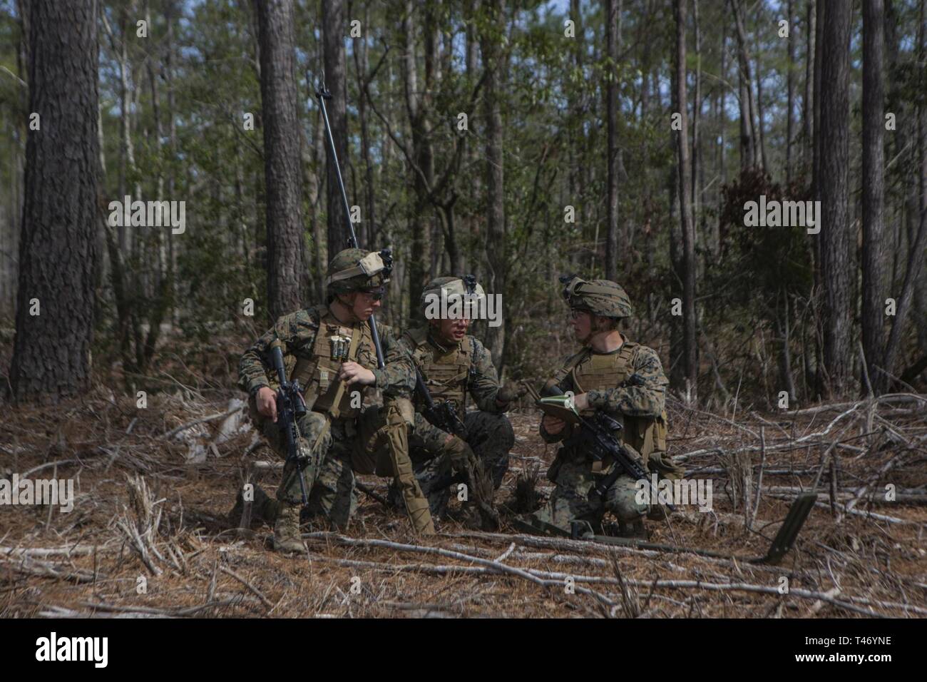 Sapper call hi-res stock photography and images - Alamy