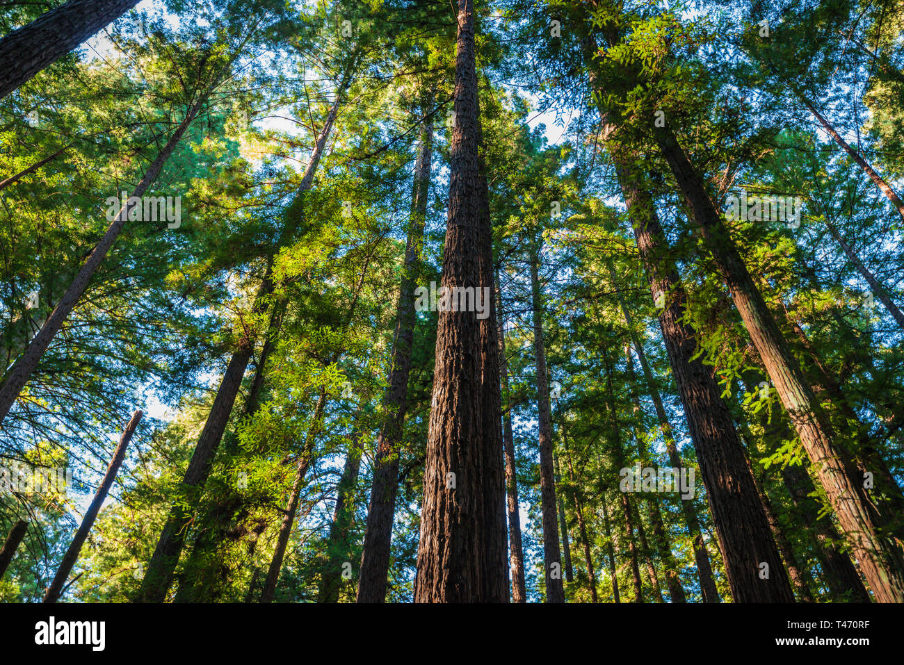 People park high angle low sun hi-res stock photography and images - Alamy