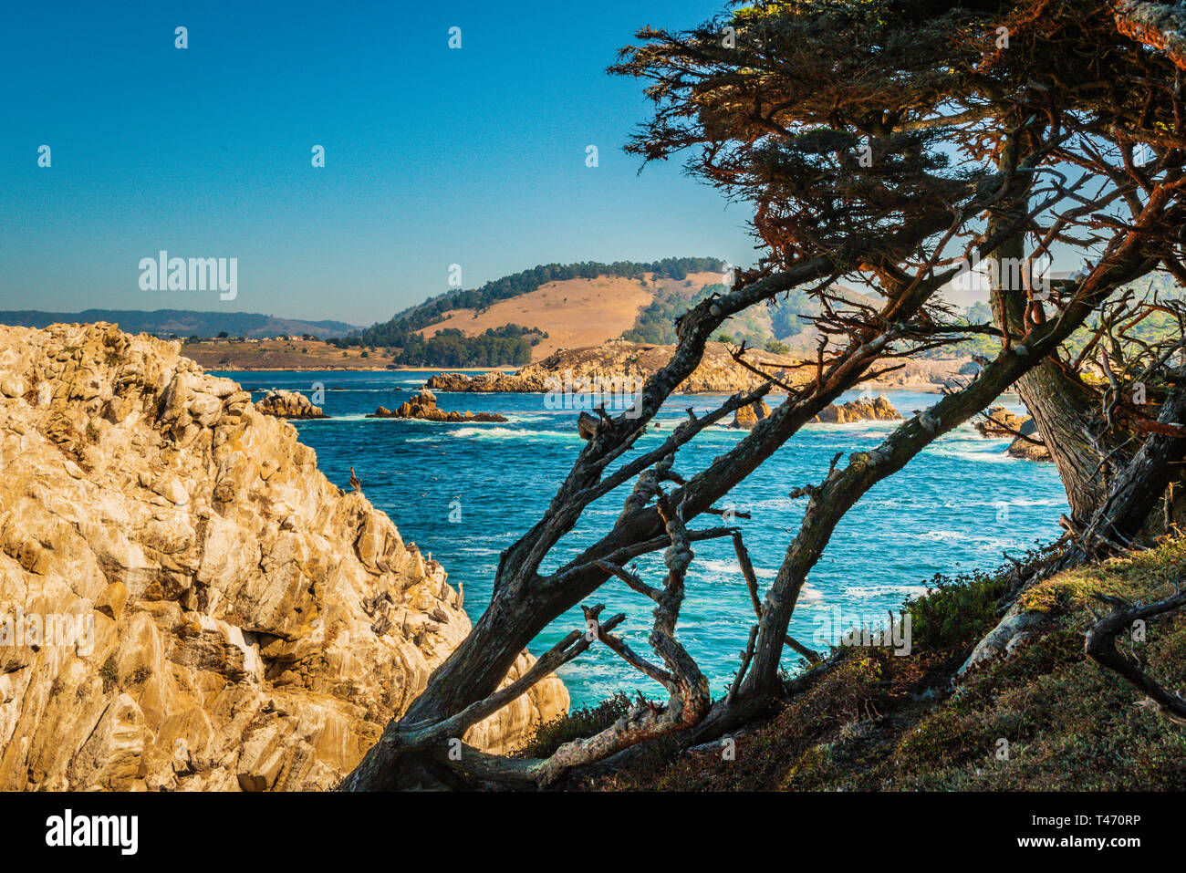 High Angle View from Chimney Rock Trail Point Reyes California Stock ...