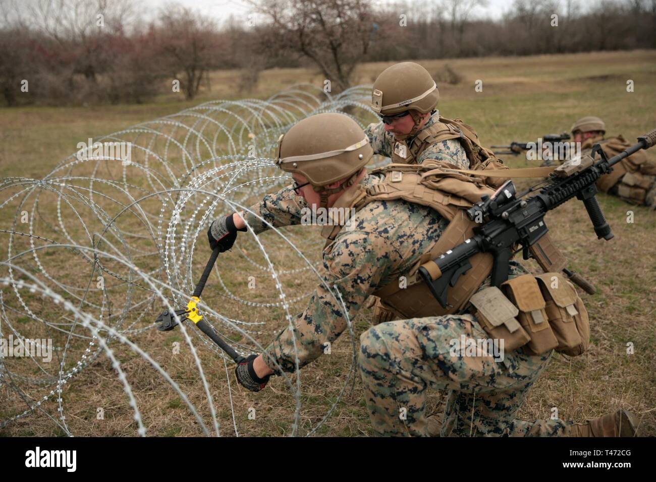 Breaching exercises hi-res stock photography and images - Alamy