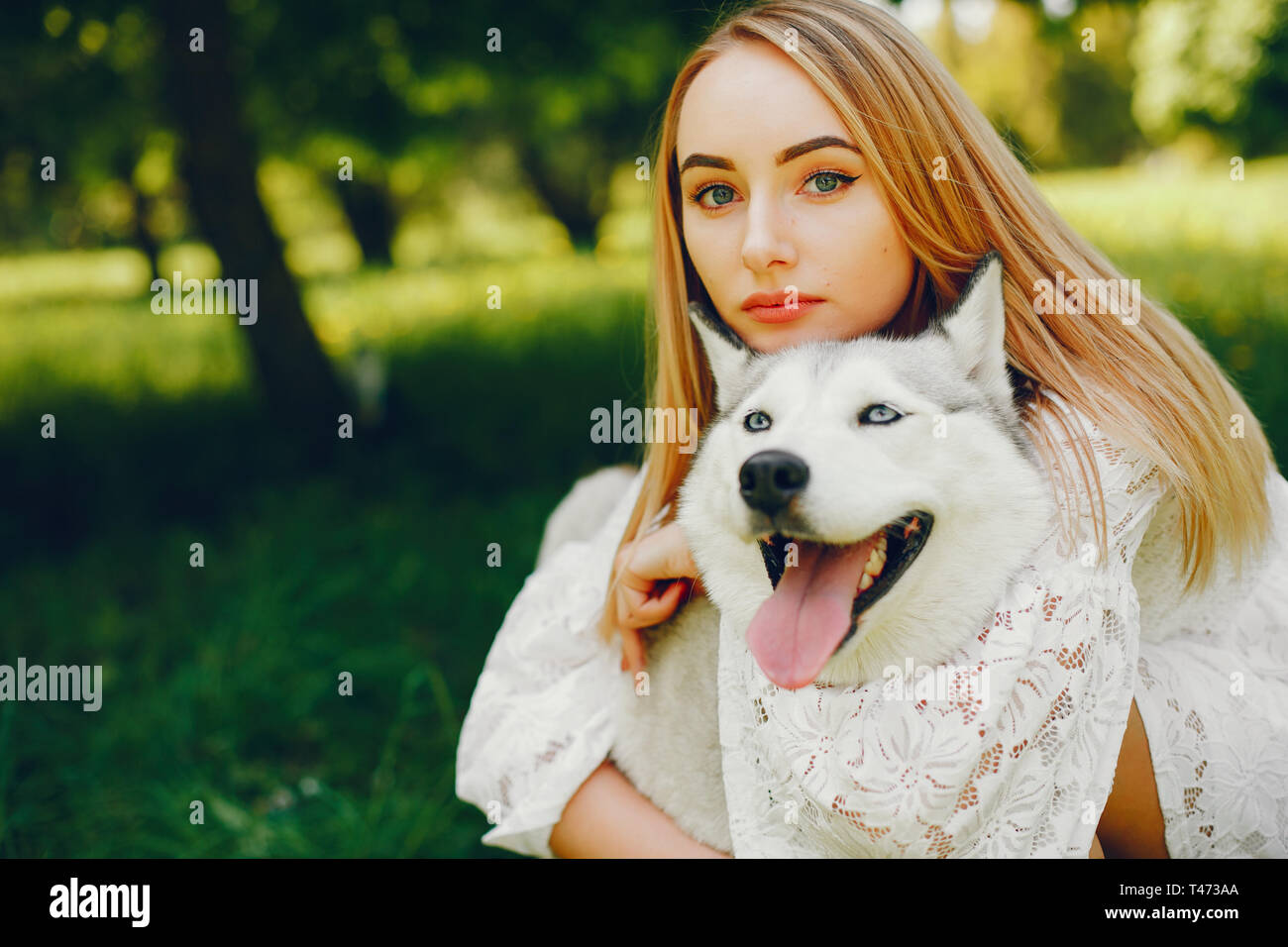 elegant girl with cute dog Stock Photo - Alamy