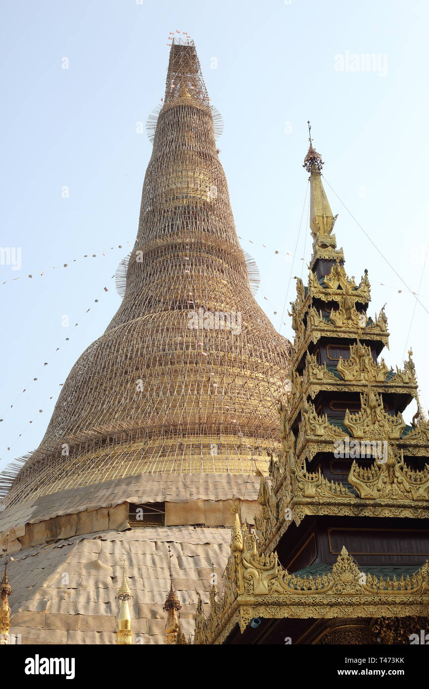 Shwedagon Pagoda in Yangon, Myanmar, south east asia Stock Photo - Alamy