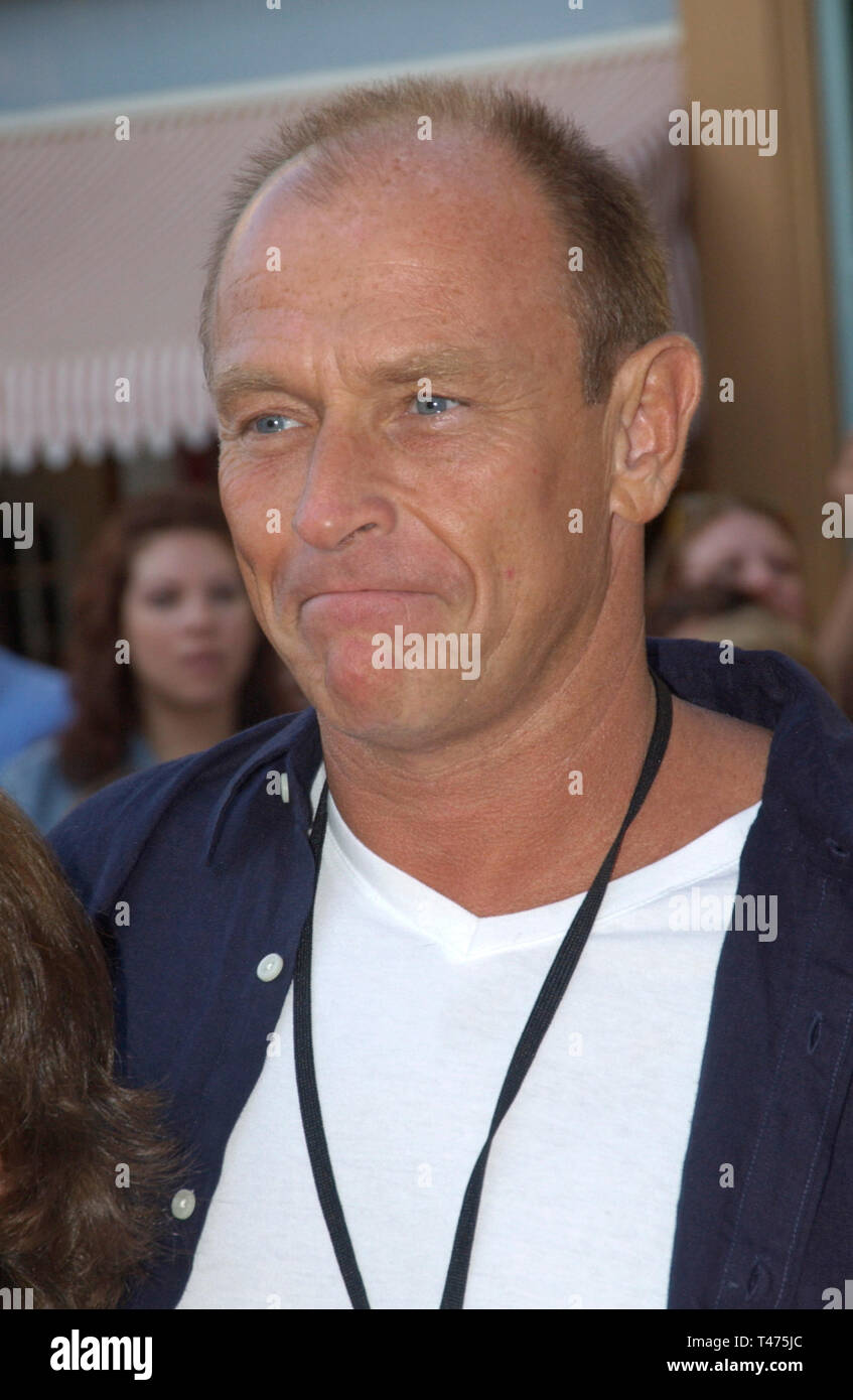Corbin bernsen actor hi-res stock photography and images - Alamy