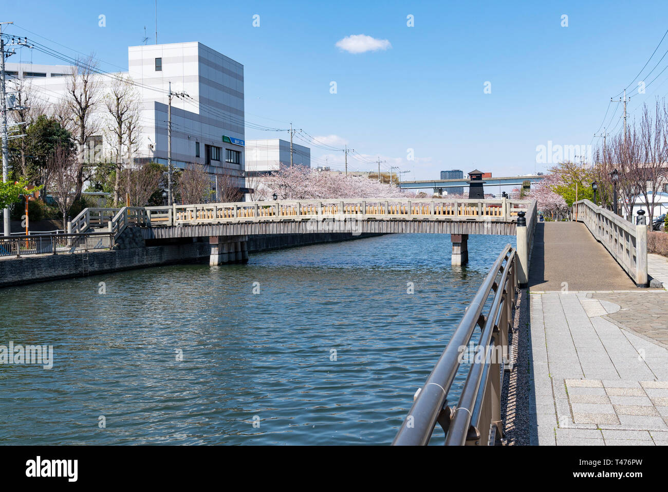 Shinkawa 1000 sakura, Edogawa-Ku, Tokyo, Japan Stock Photo - Alamy
