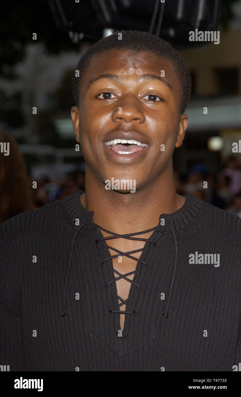 LOS ANGELES, CA. July 30, 2003: Actor EDWIN HODGES at the world ...