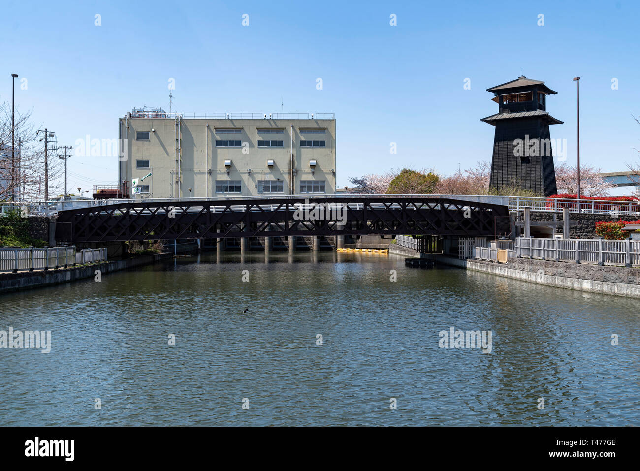 Shinkawa 1000 sakura, Edogawa-Ku, Tokyo, Japan Stock Photo - Alamy