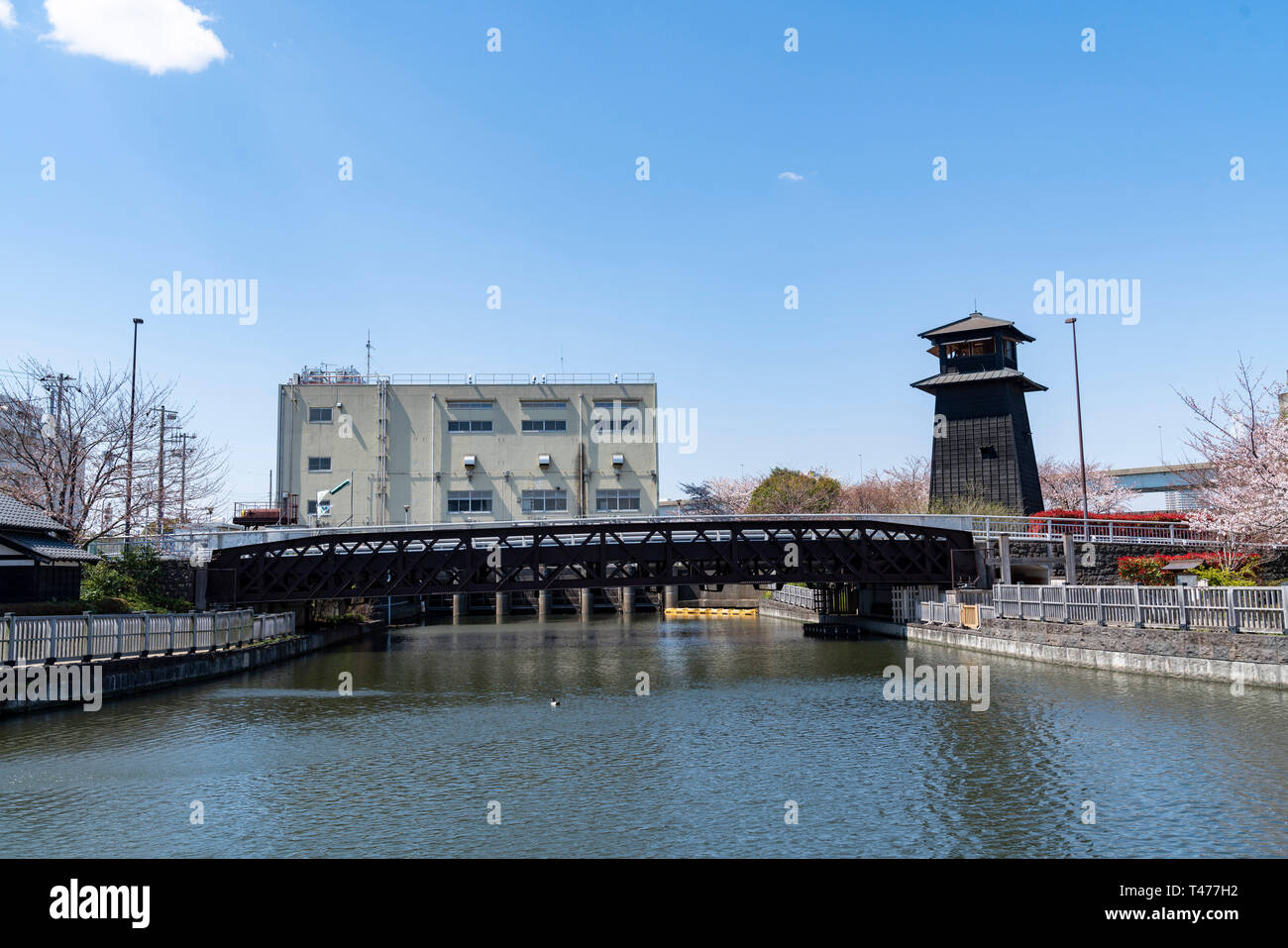 Shinkawa 1000 sakura, Edogawa-Ku, Tokyo, Japan Stock Photo - Alamy