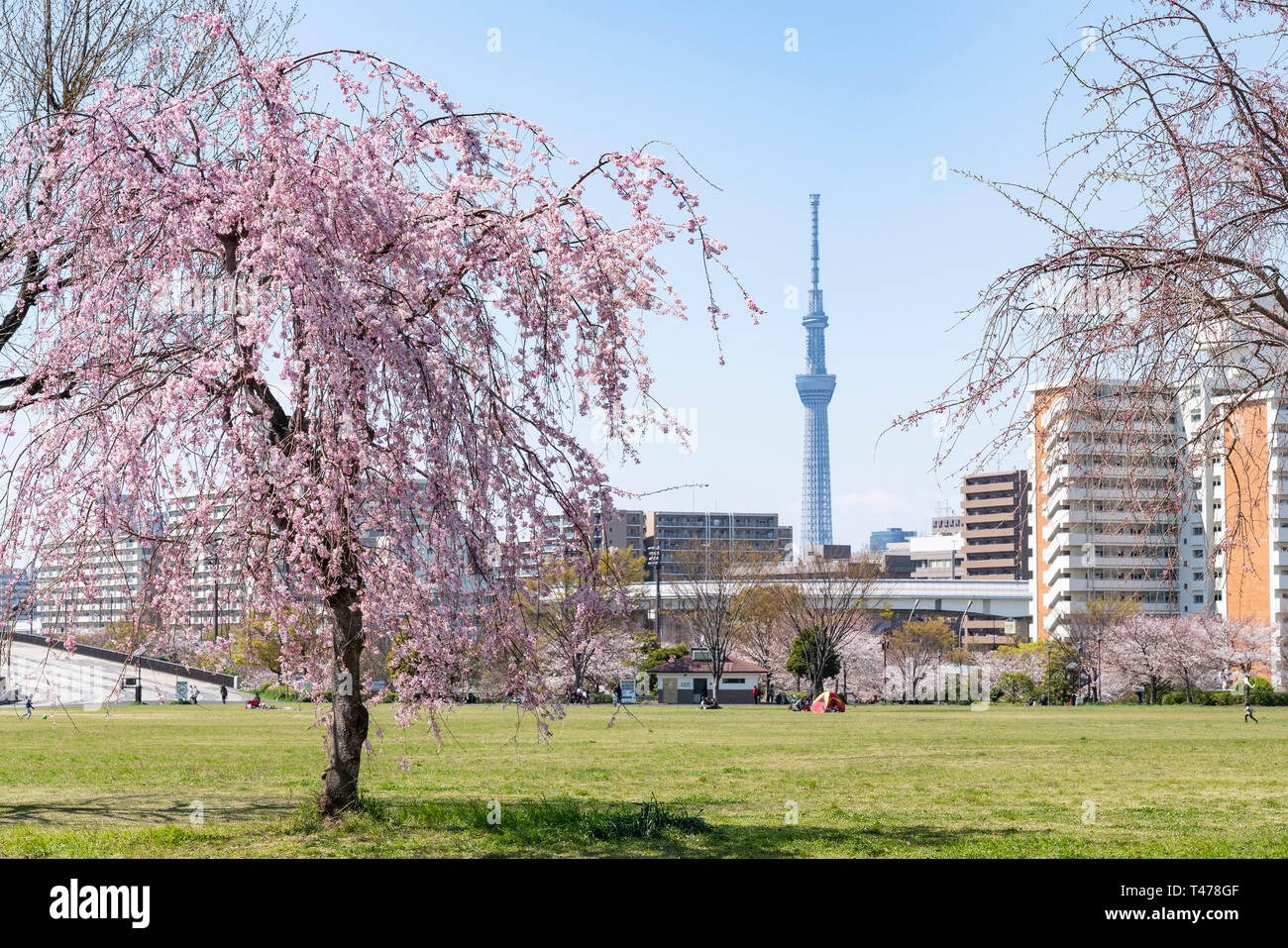 Ojima tokyo hi-res stock photography and images - Alamy