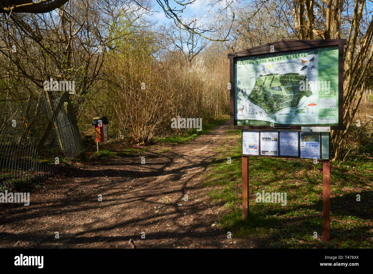 Selsdon wood nature reserve hi-res stock photography and images - Alamy