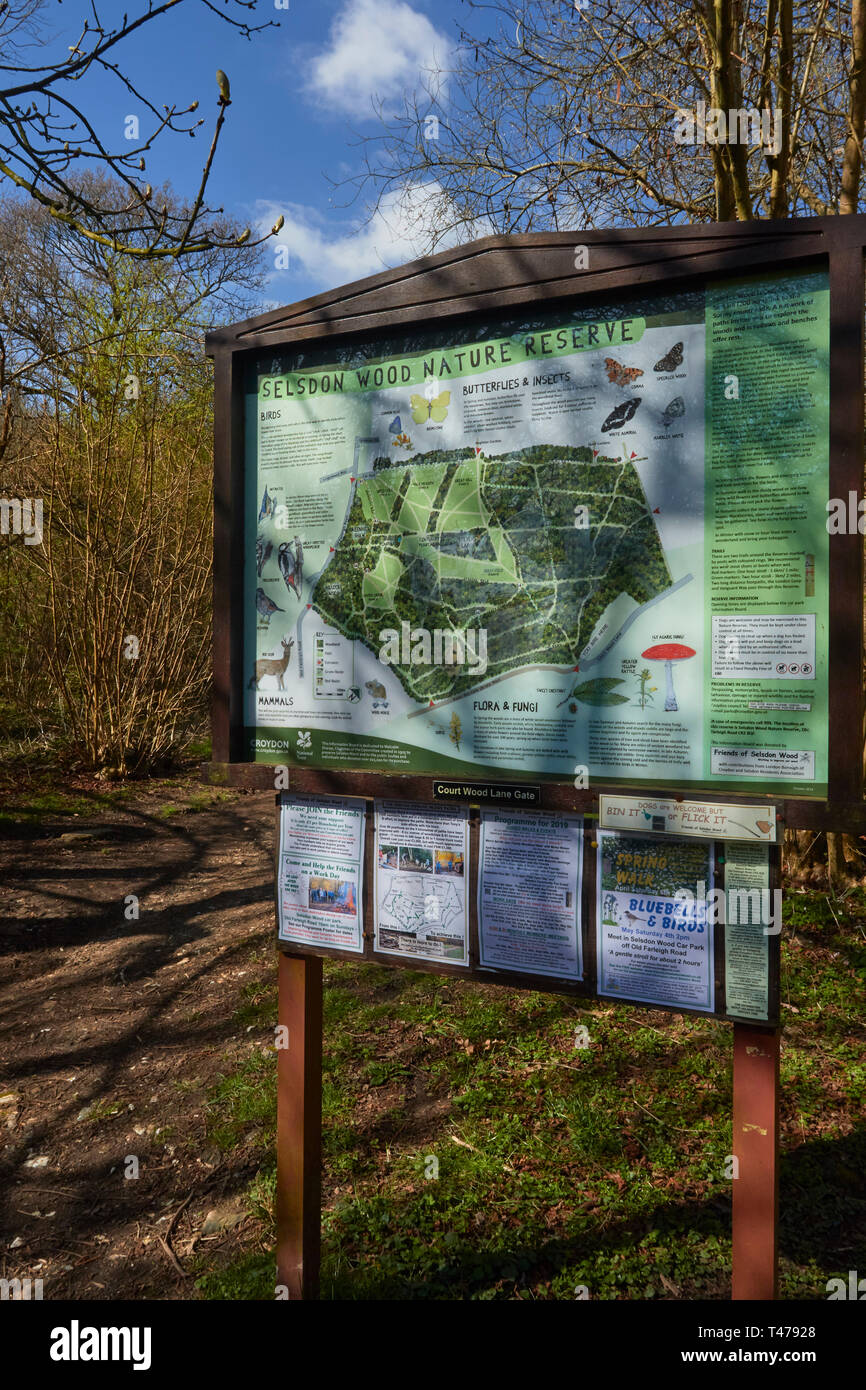 Selsdon woods hi-res stock photography and images - Alamy