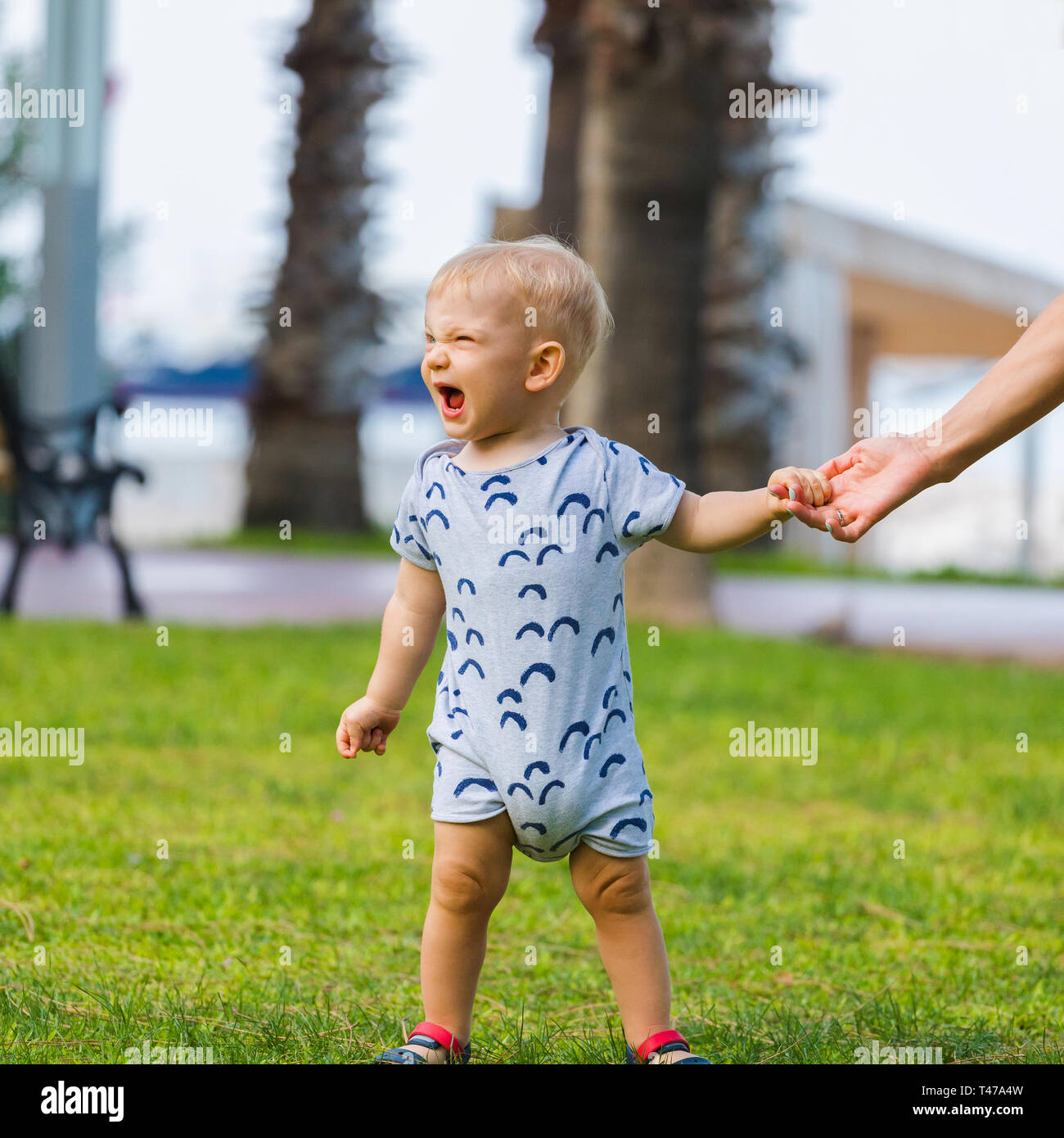 A little boy stands on the background of bright green grass and holds ...