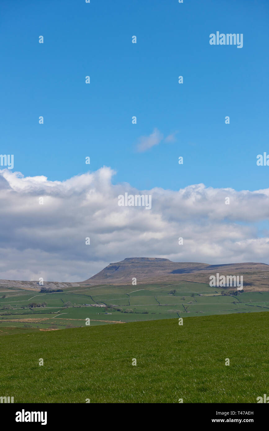 Whernside in the Yorkshire Dales looking north in the Spring sunlight ...
