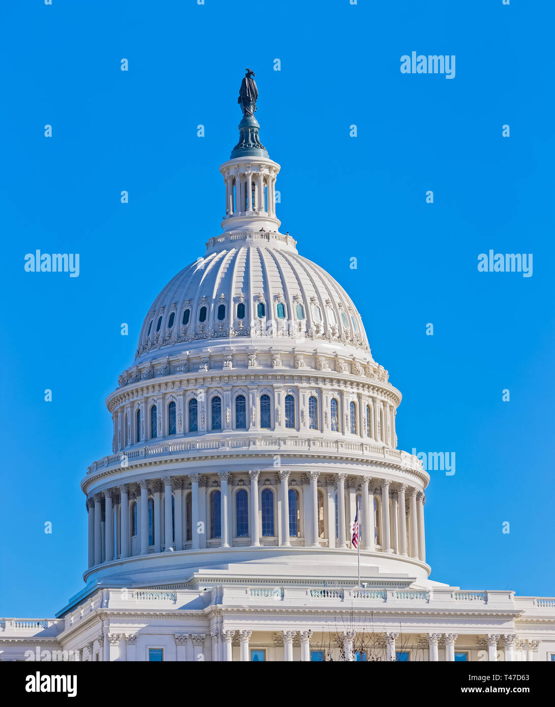 United States Capitol building dome in Washington DC Stock Photo - Alamy
