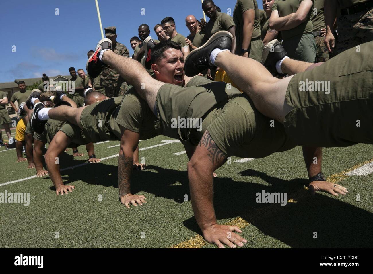 Marines Training Push Ups