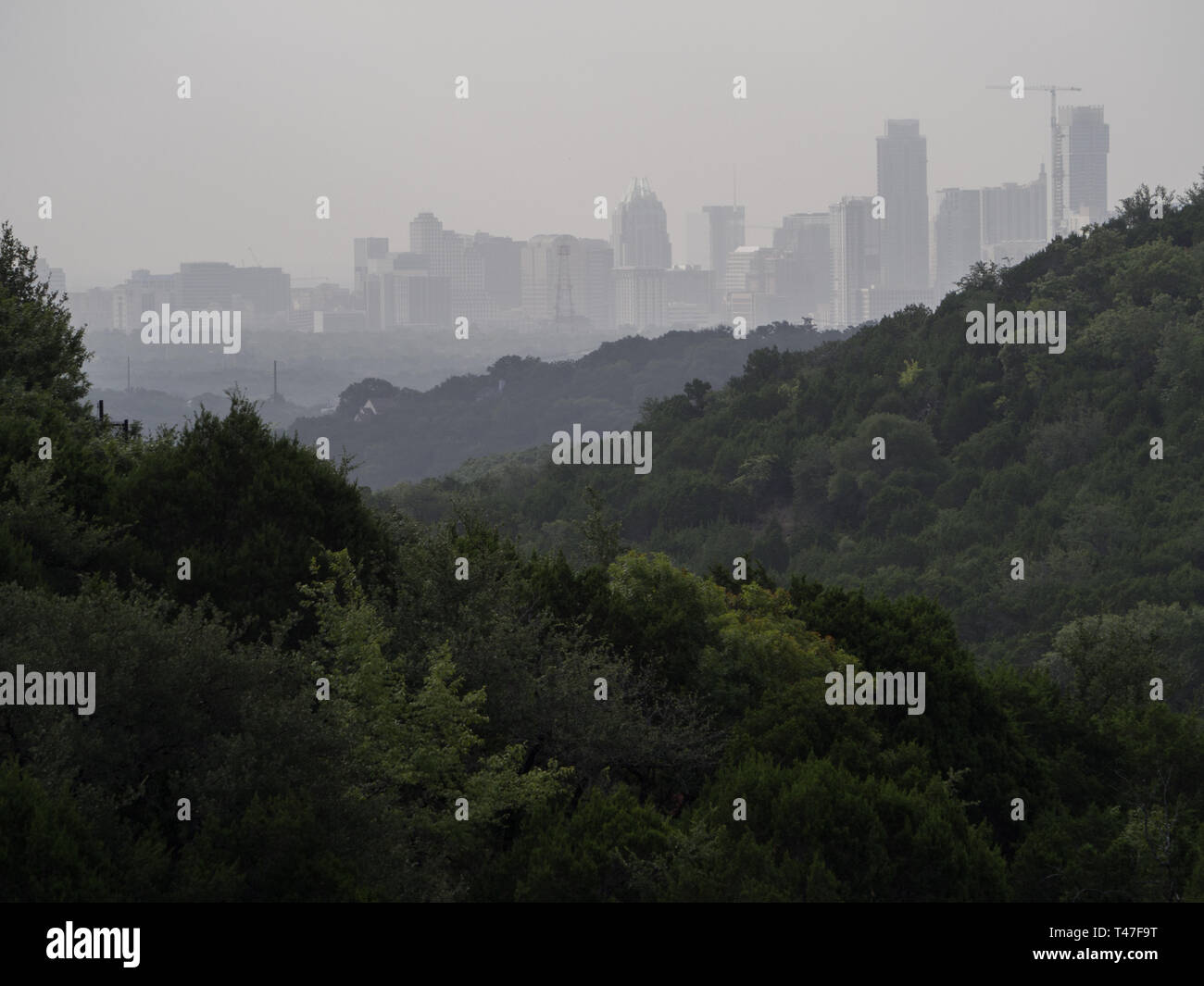 Austin, Texas skyline in the the morning fog Stock Photo - Alamy
