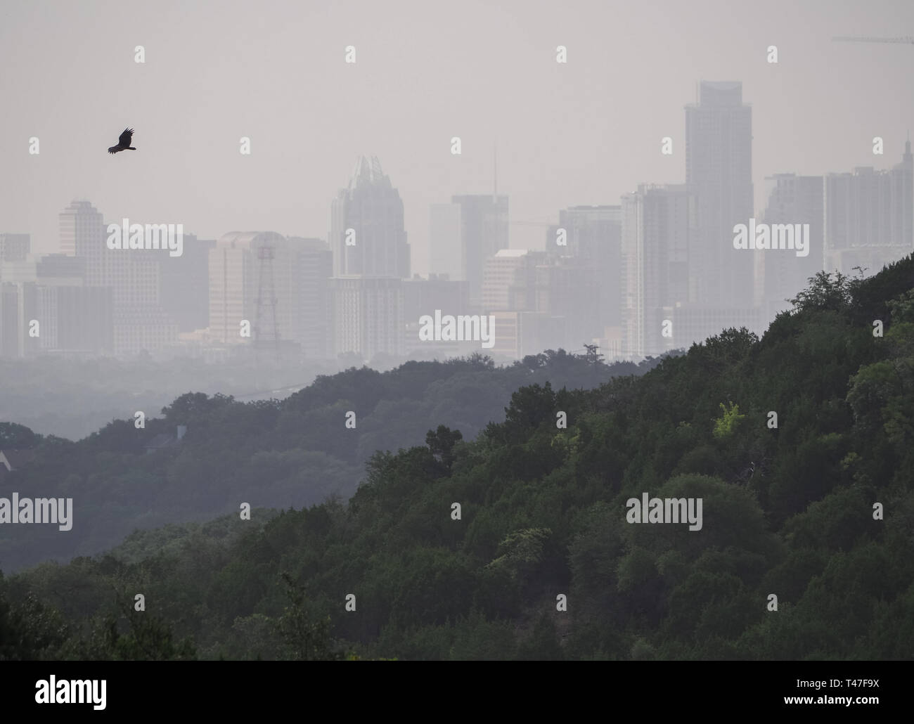 Austin, Texas skyline in the the morning fog Stock Photo - Alamy
