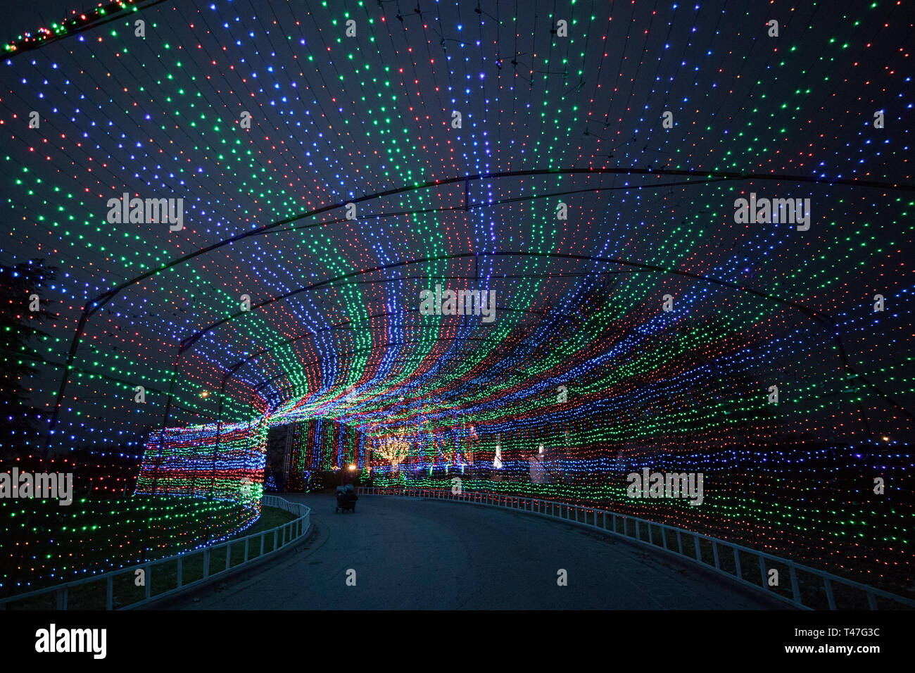 Trail of Lights in Austin, Texas Stock Photo - Alamy