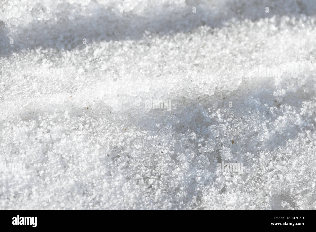 Early spring snow background and texture close up Stock Photo - Alamy