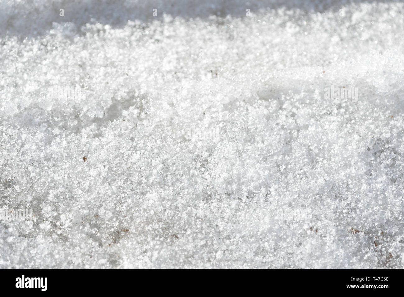 Early spring snow background and texture close up Stock Photo - Alamy