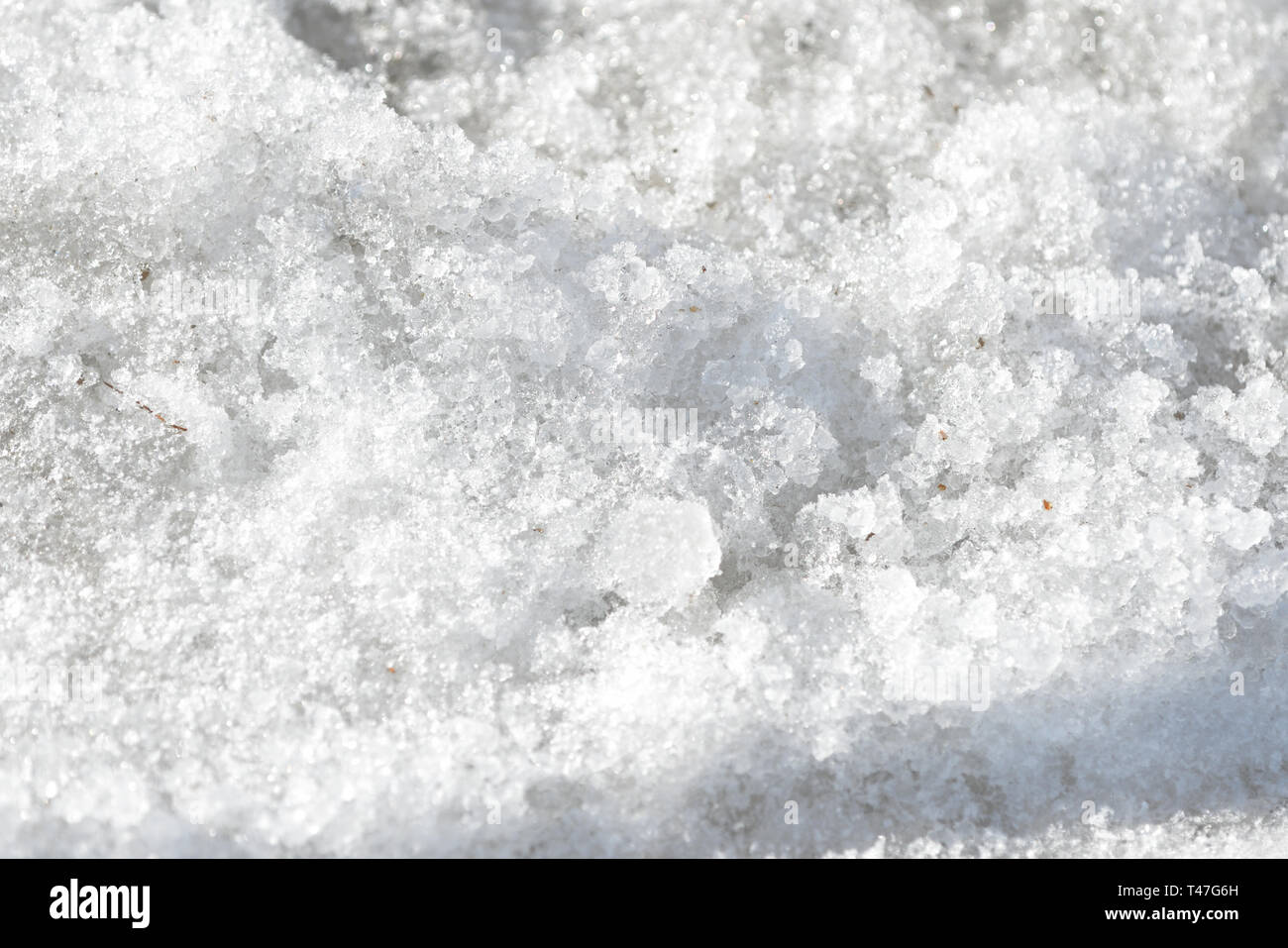 Early spring snow background and texture close up Stock Photo - Alamy