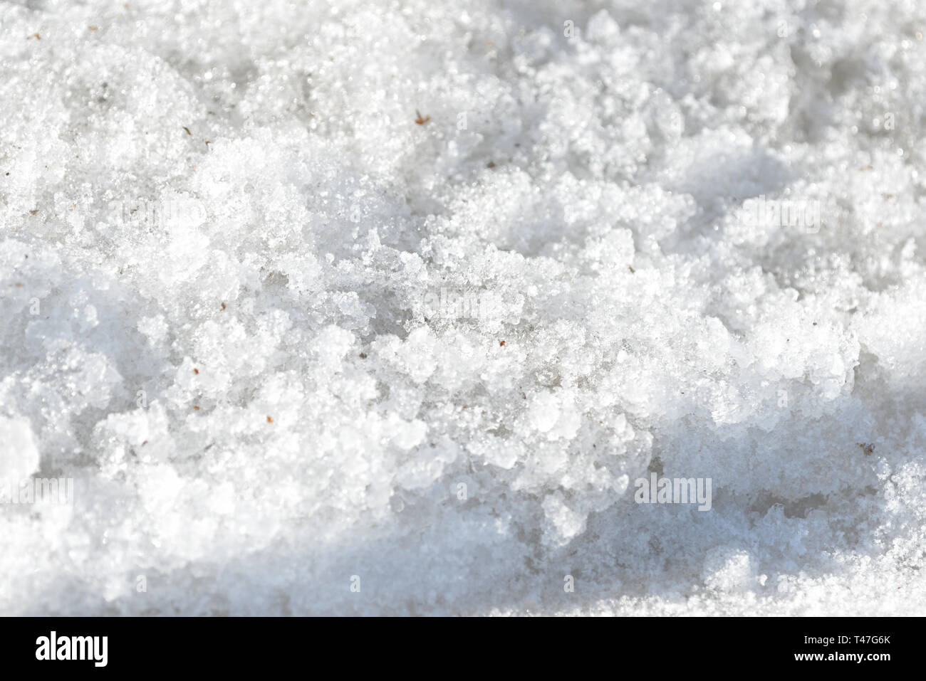 Early spring snow background and texture close up Stock Photo - Alamy